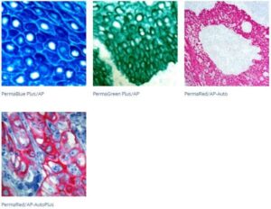 [MARCADORES DE INMUNOHISTOQUÍMICA] Equipos e Insumos